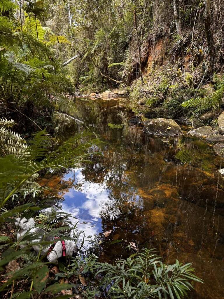 Casa sustentável e cheia de boas ideias | Open House com Maria Lúcia ...